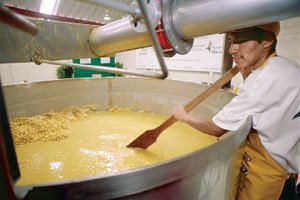 El Universal - Cultura - Bacteria convierte desecho de maíz en vainilla