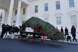 El Universal - El Mundo - Reciben árbol navideño que adornará la Casa ...