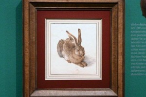 El Universal - Cultura - La "Liebre" de Durero sale a la luz tras ...