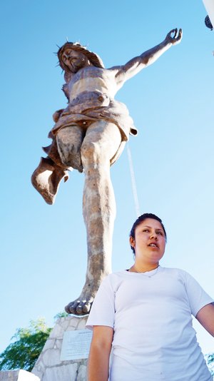 El Universal - Los Estados - Carcomido por pájaros carpinteros