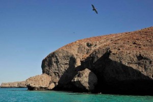 El Universal - Cultura - Islas del Mar de Cortés, patrimonio UNESCO